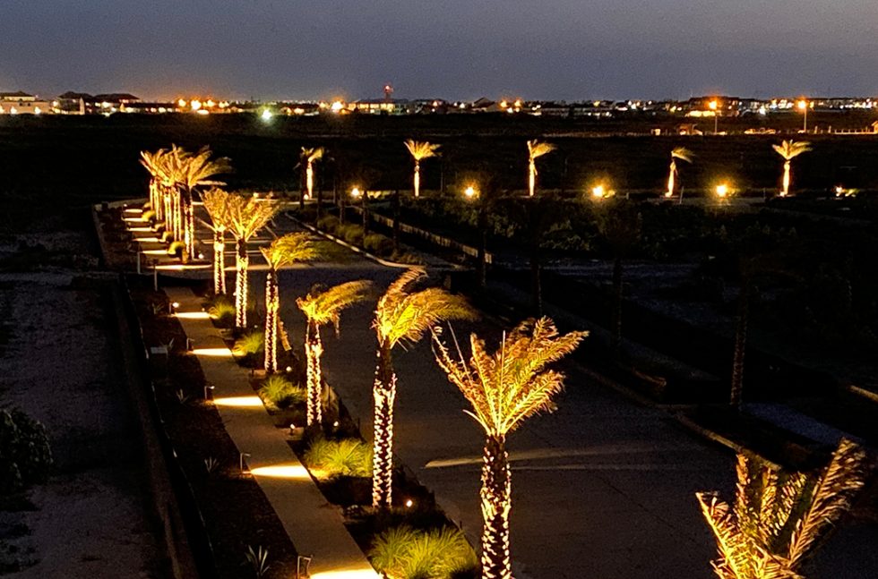 About - Lively Beach