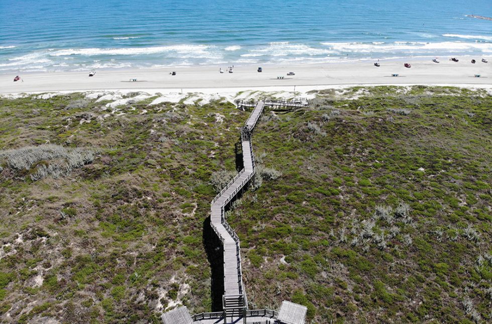 About - Lively Beach