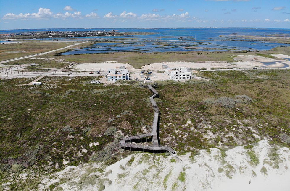 About | Lively Beach