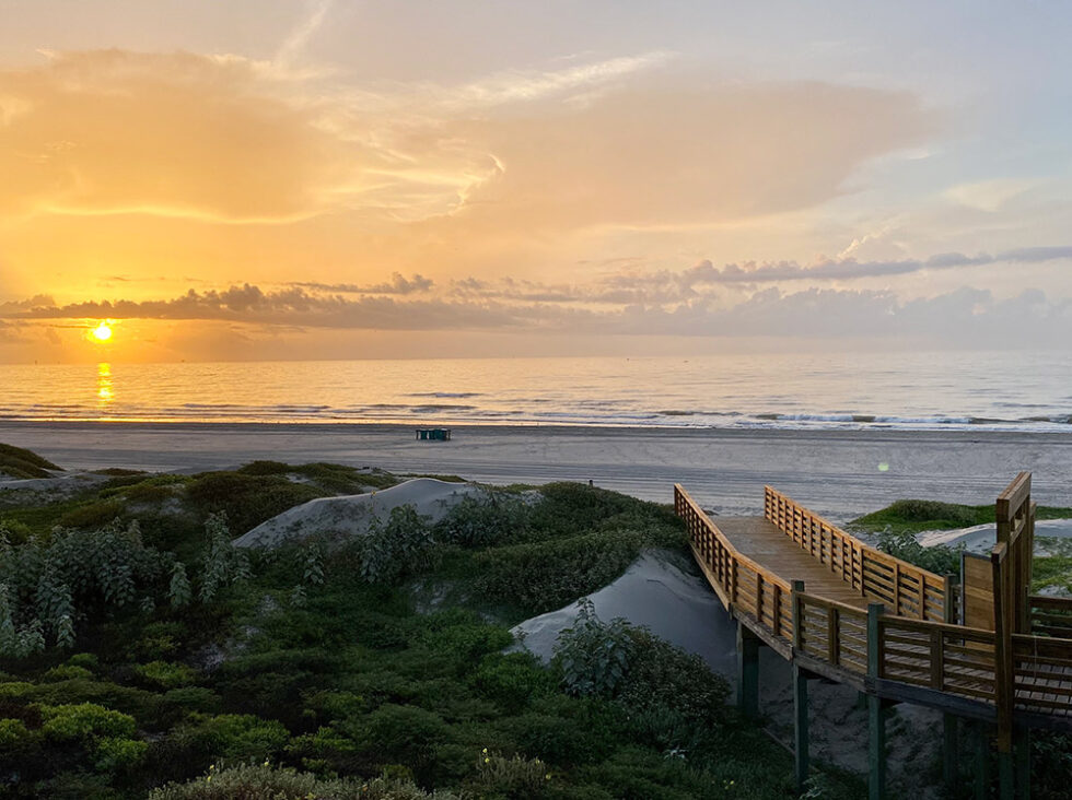 Resort Gallery | Lively Beach