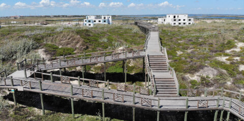 Resort Gallery | Lively Beach