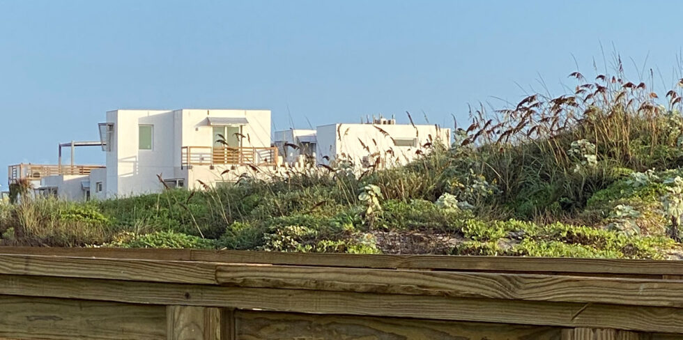 Resort Gallery - Lively Beach