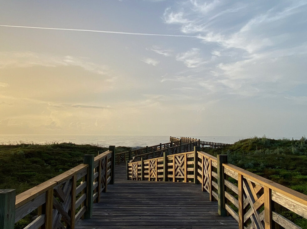 Resort Gallery - Lively Beach