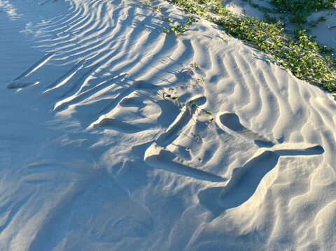 Resort Gallery - Lively Beach