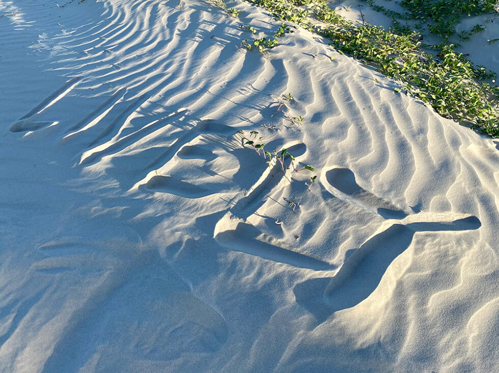 Resort Gallery - Lively Beach