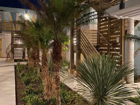 Resort Gallery - Lively Beach